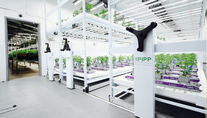 Vertical Grow Systems for Indoor Farms | Hammerhead LLC Vertical Grow Systems for Indoor Farms | Hammerhead LLC